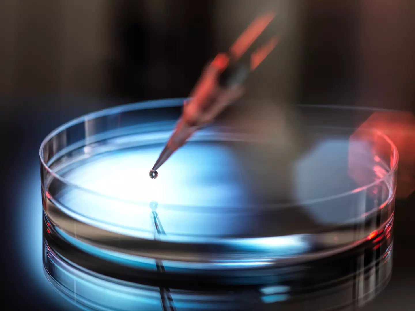 resize (42) - Techmaniacs